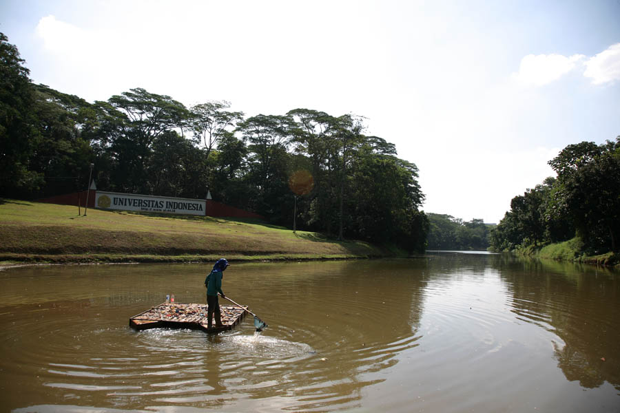 Hutan Kota UI, Hijaunya Rimba Raya Pengetahuan – AKSI KATA