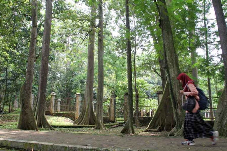 Hutan Kota UI, Hijaunya Rimba Raya Pengetahuan – AKSI KATA
