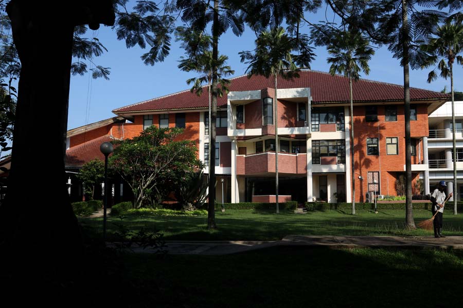 Hutan Kota UI, Hijaunya Rimba Raya Pengetahuan – AKSI KATA